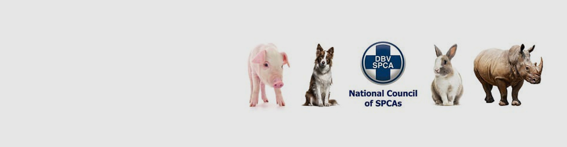 A Million Voices | The NSPCA's Fundraising Campaign