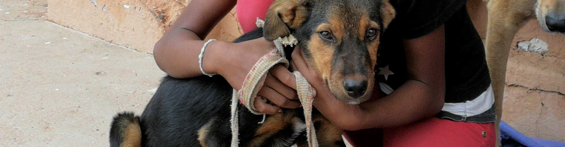 Community Upliftment | Responsible Animal Ownership