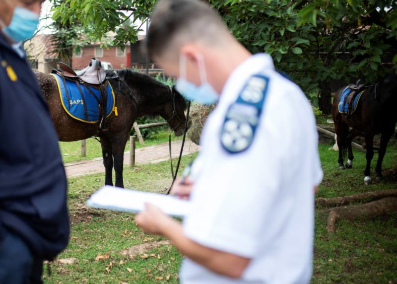 Working Animals | NSPCA Special Projects