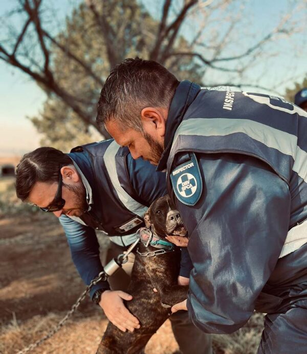 The National Council of SPCAs - We Prevent Cruelty to Animals