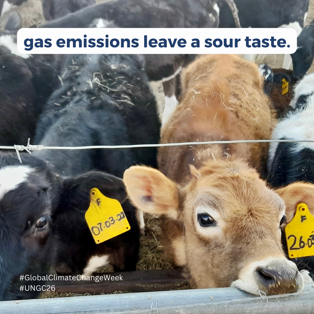 The Interconnected World: Climate Change, Animal Welfare, and Youth Action