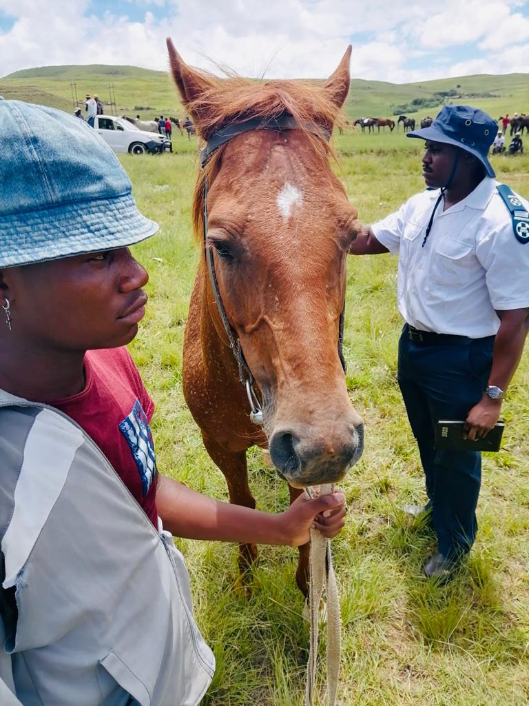 Dog Racing Event in Mpumalanga Shut Down by NSPCA