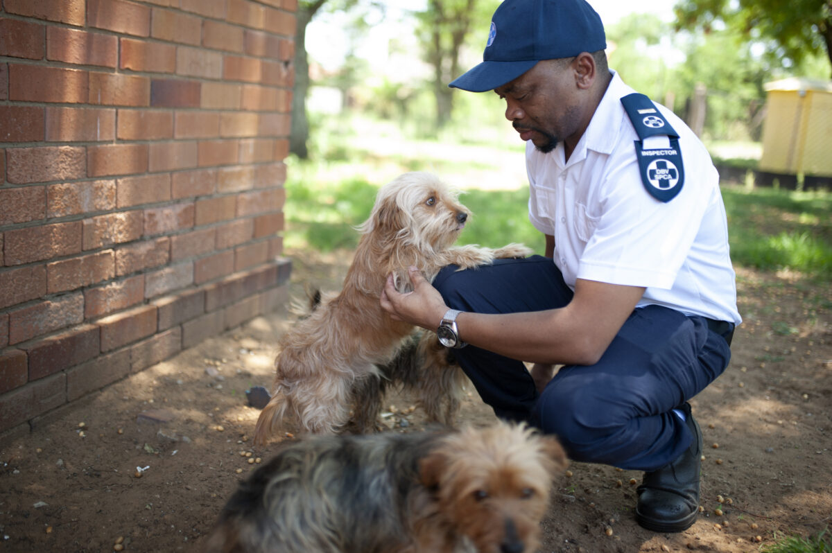 The Latest News and Articles from The NSPCA | Animal Rights Latest