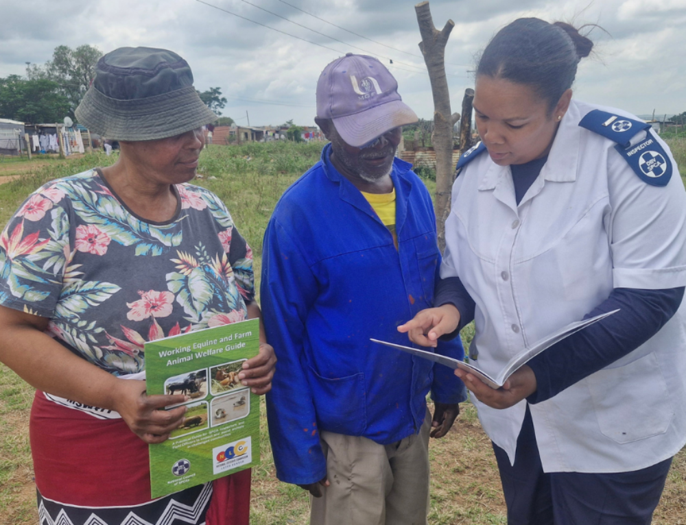 The SPCA Accepts All Unwanted and Stray Animals