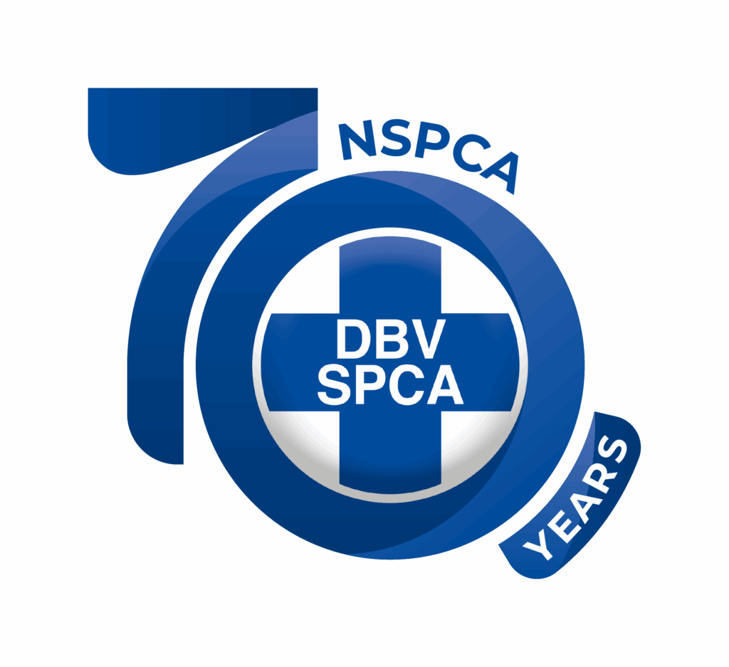 About NSPCA | Animal Welfare Protection Non Profit Organisation