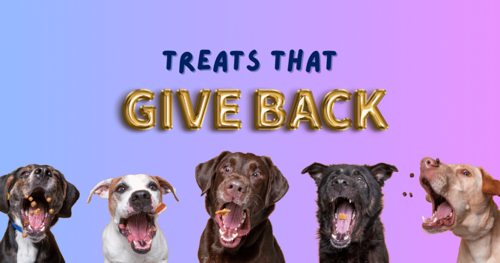 The SPCA Accepts All Unwanted and Stray Animals
